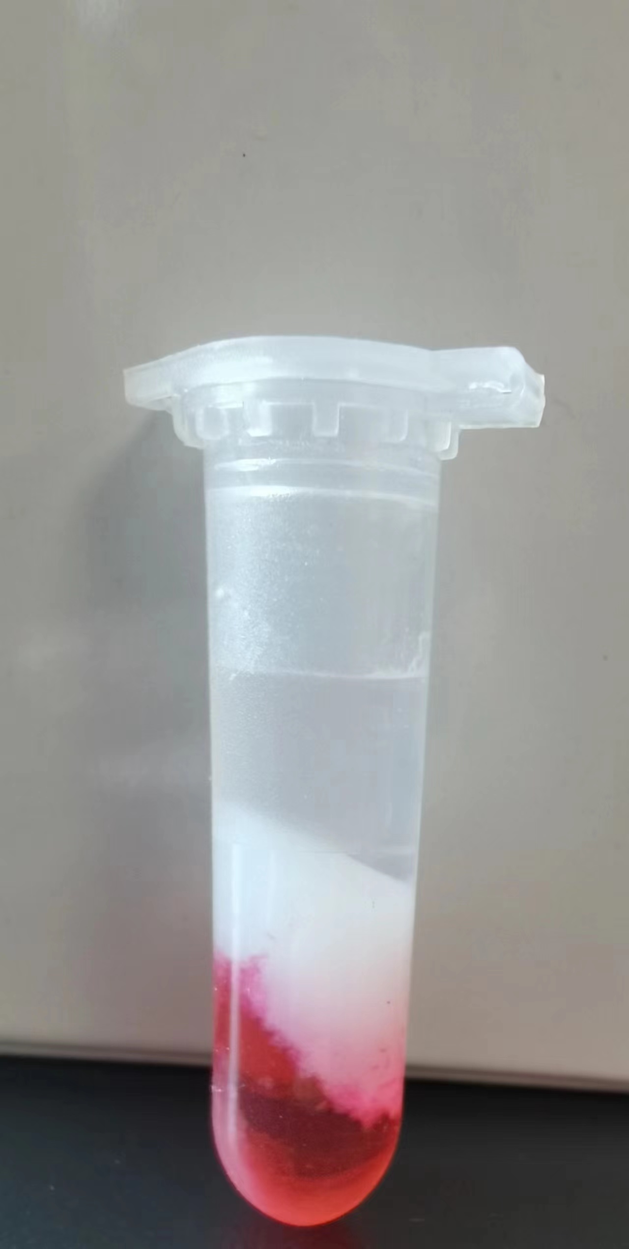 锁相胶（PLG），锁相胶，Phase Lock Gel